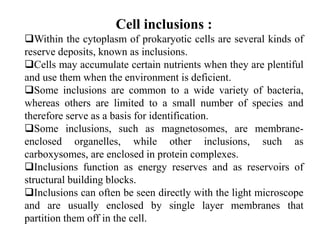Bacterial cytology cell inclusions | PPTX
