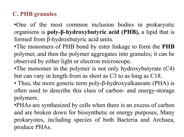 Bacterial cytology cell inclusions | PPTX | Chemistry | Science