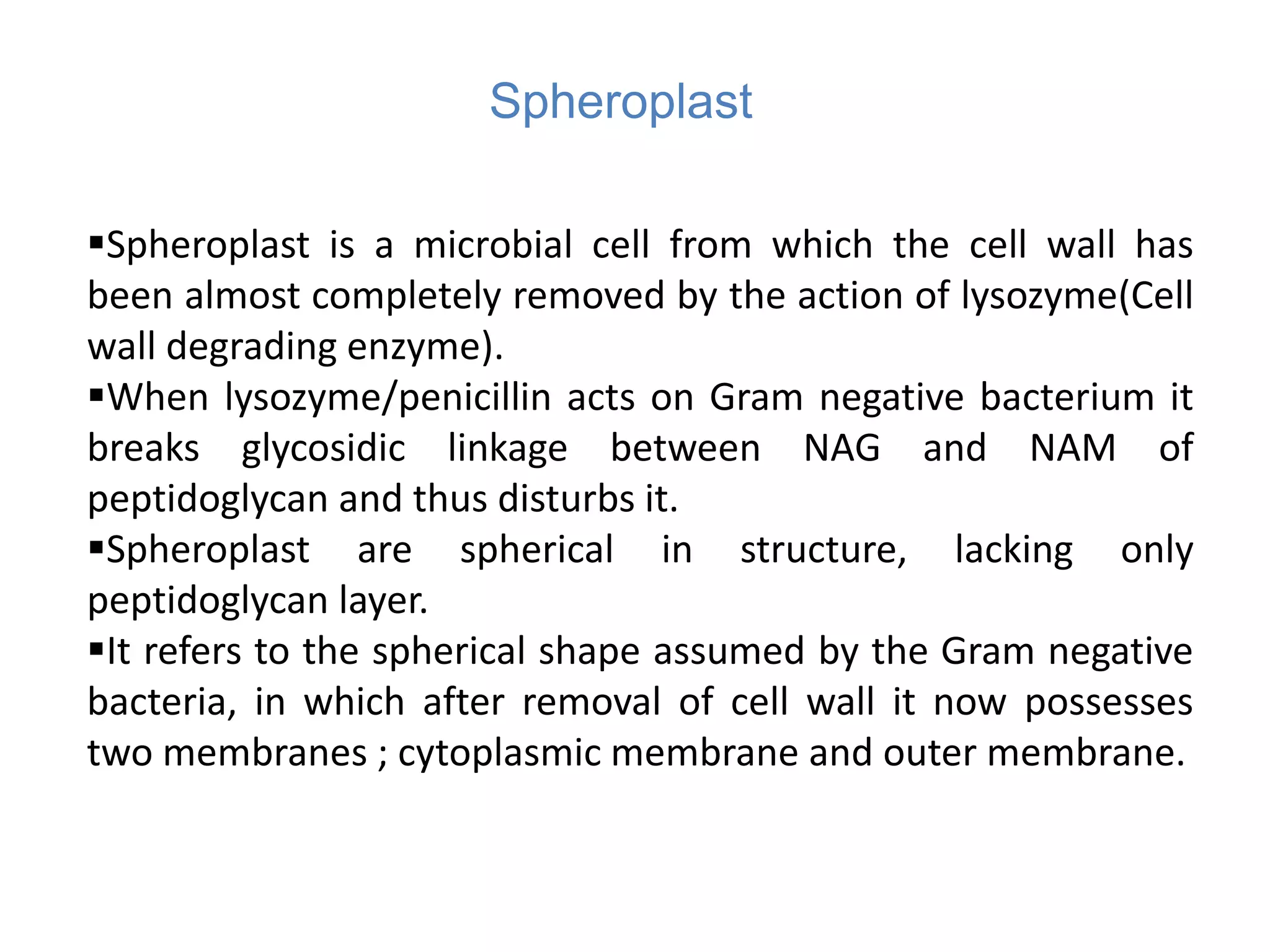 Bacterial cytology cell wall and cell membrane | PPTX