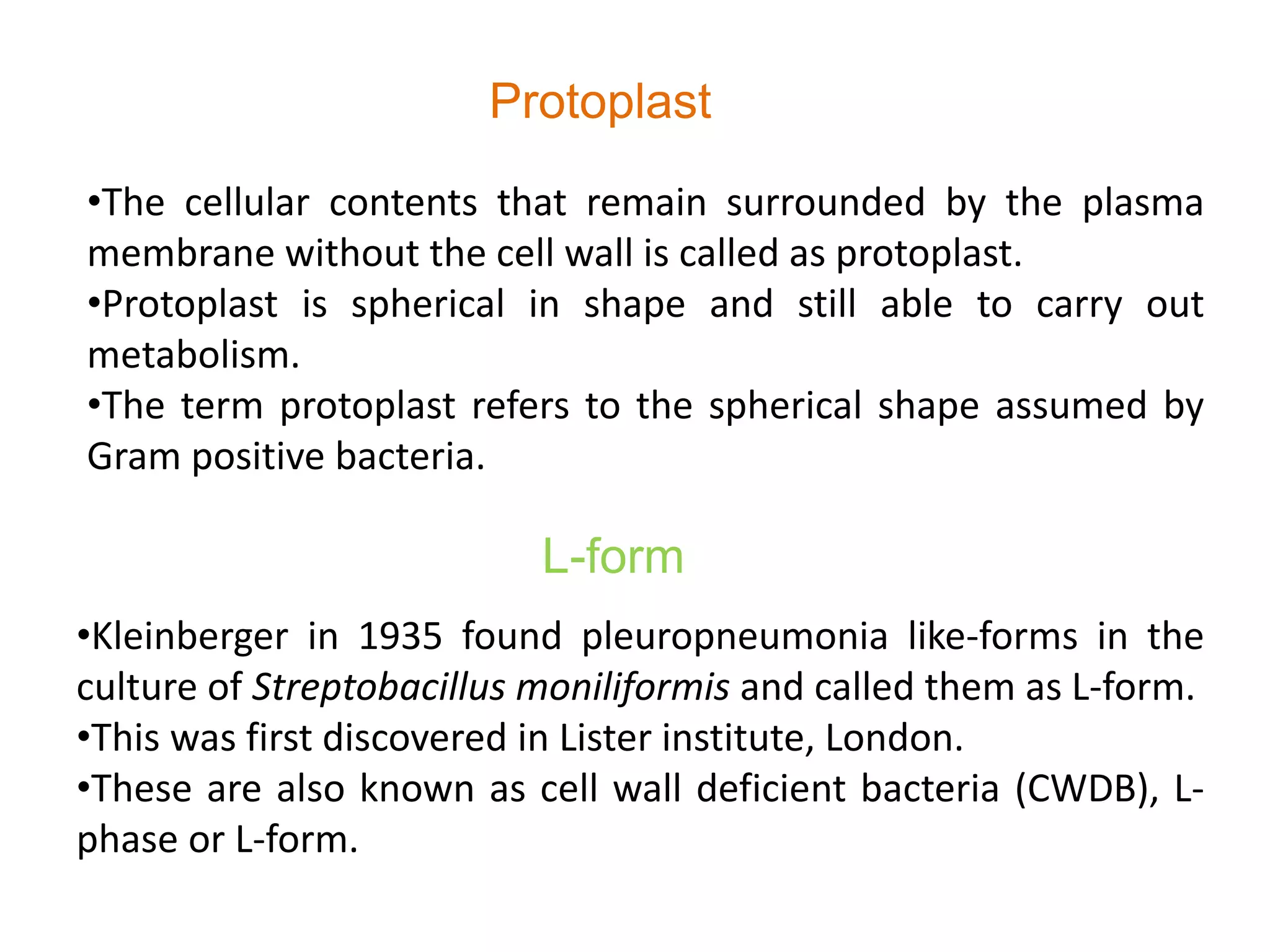 Bacterial cytology cell wall and cell membrane | PPTX