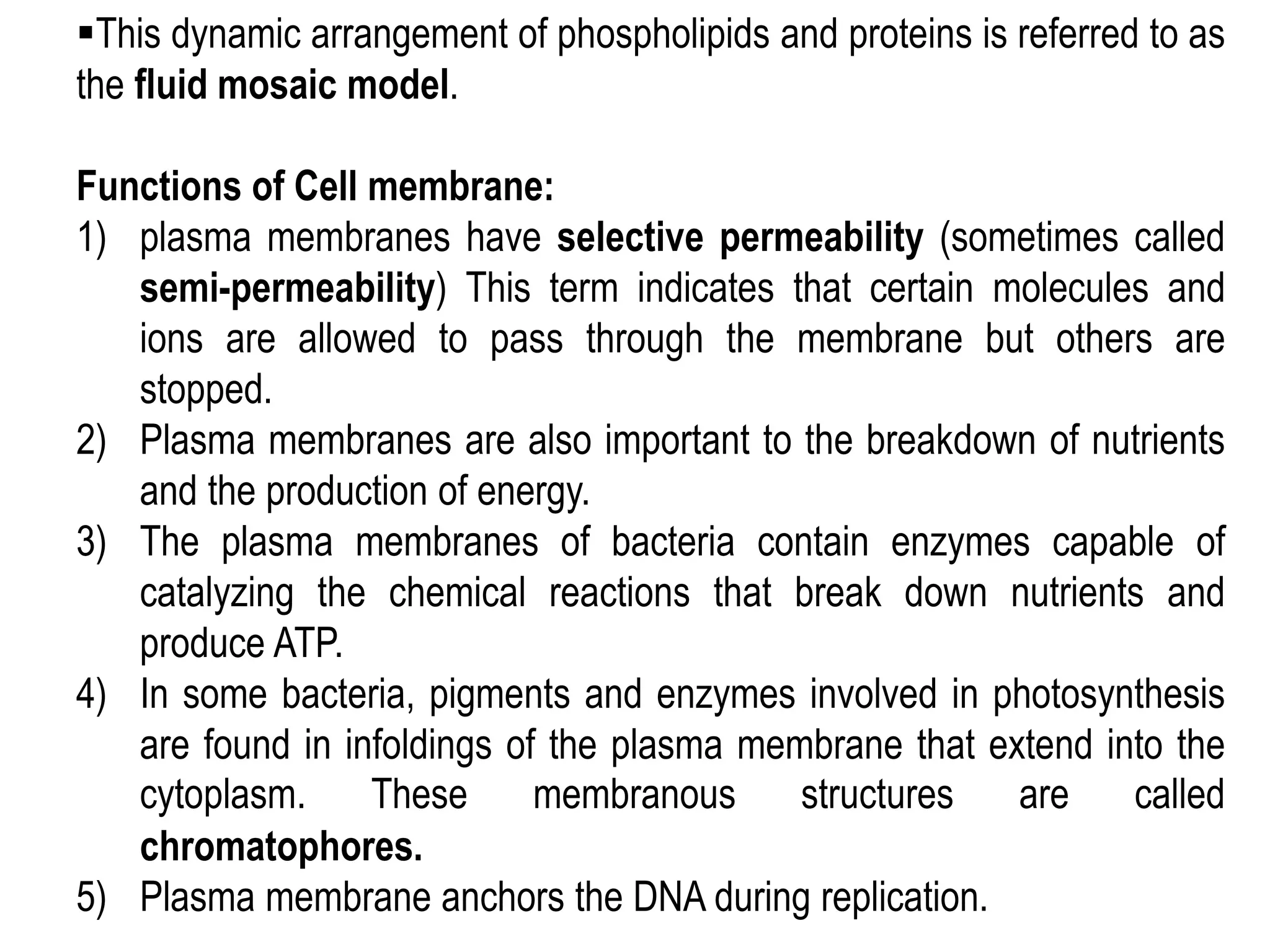 Bacterial cytology cell wall and cell membrane | PPTX