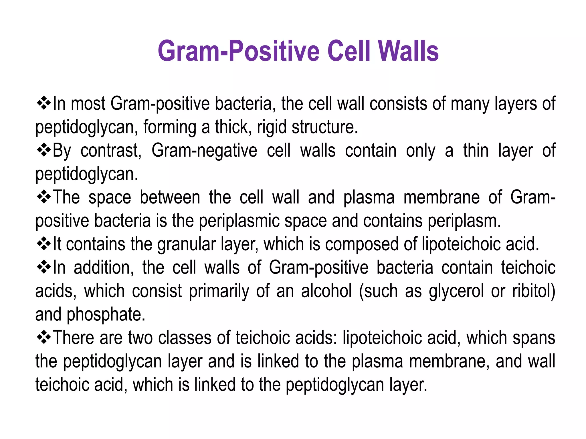 Bacterial cytology cell wall and cell membrane | PPTX