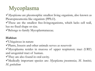 Bacterial cytology cell wall and cell membrane | PPTX