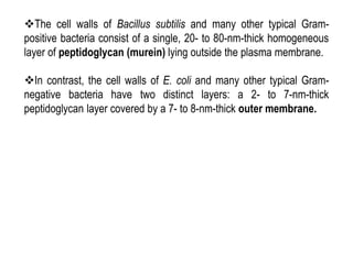 Bacterial cytology cell wall and cell membrane | PPTX
