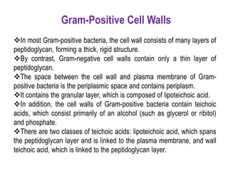 Bacterial cytology cell wall and cell membrane | PPTX