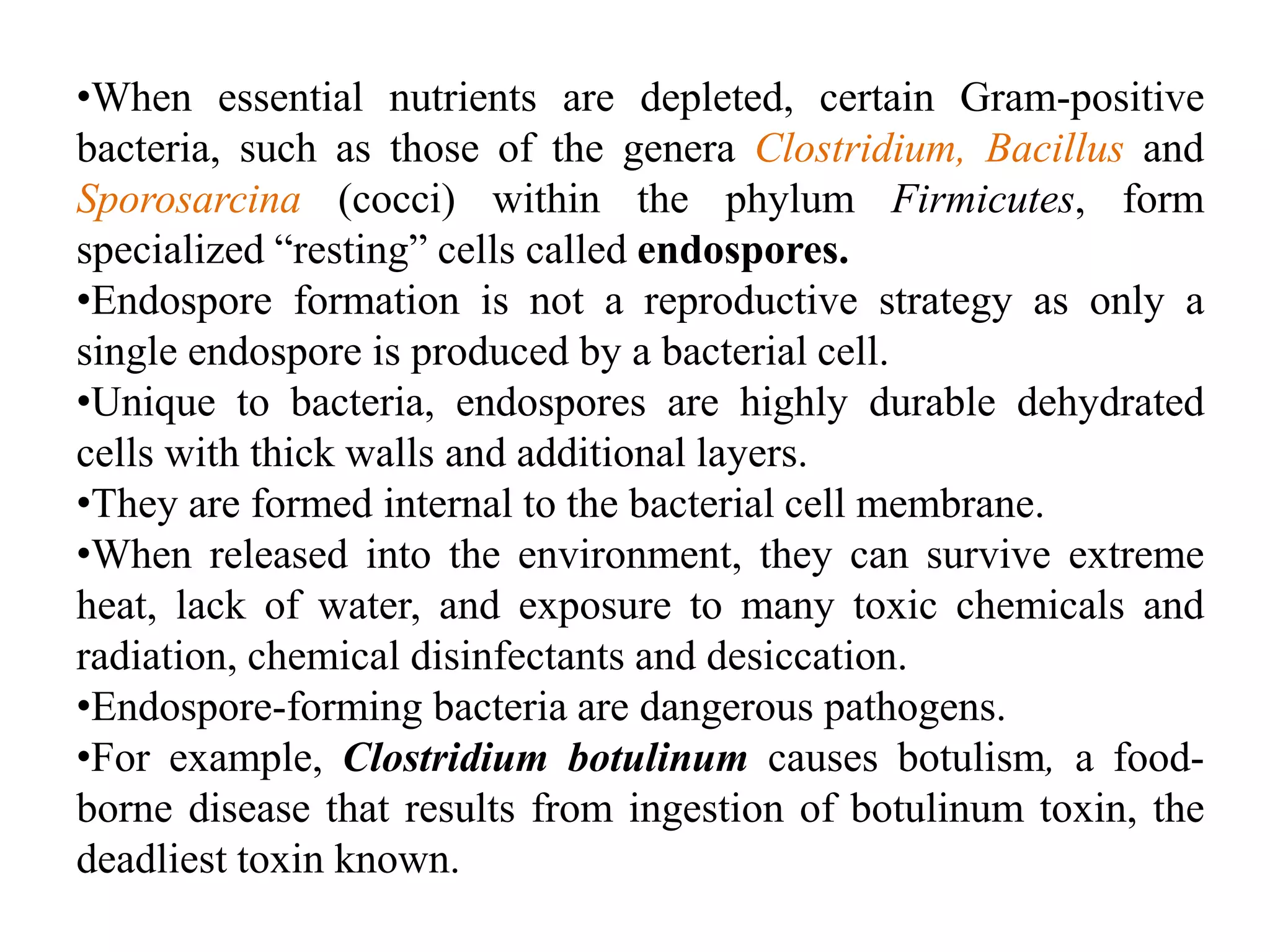 Bacterial cytology endospore | PPTX