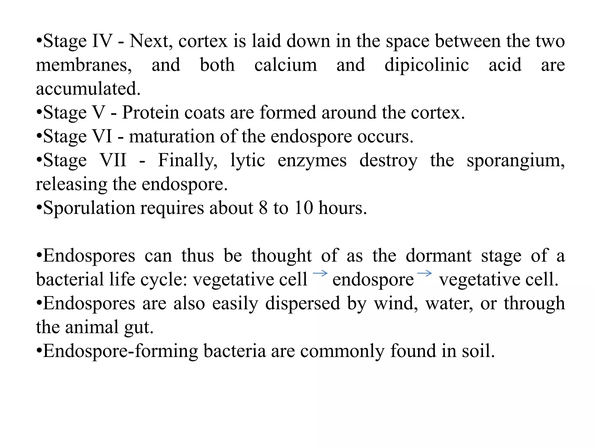 Bacterial cytology endospore | PPTX