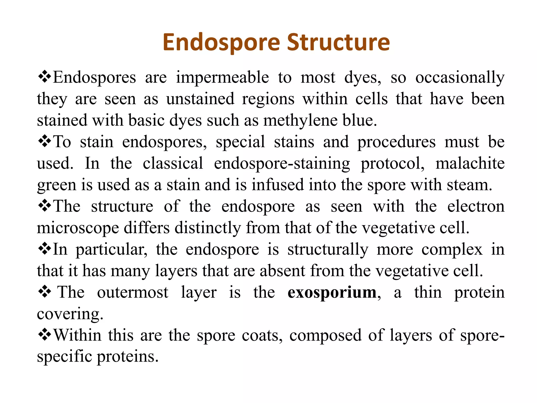 Bacterial cytology endospore | PPTX