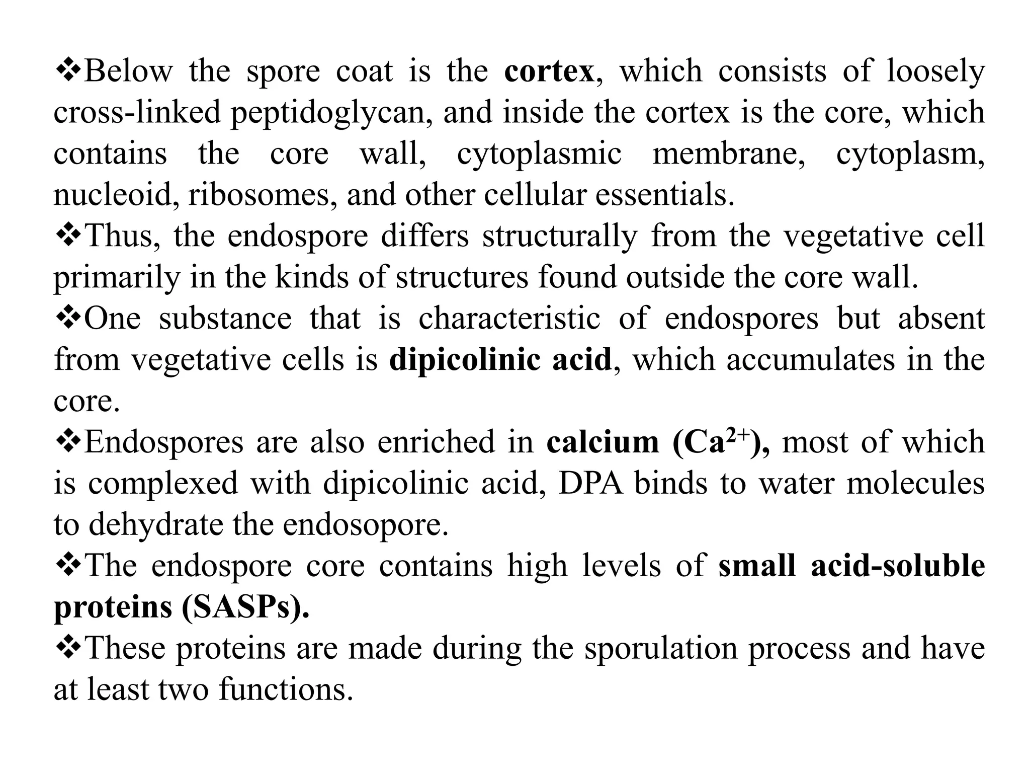 Bacterial cytology endospore | PPTX