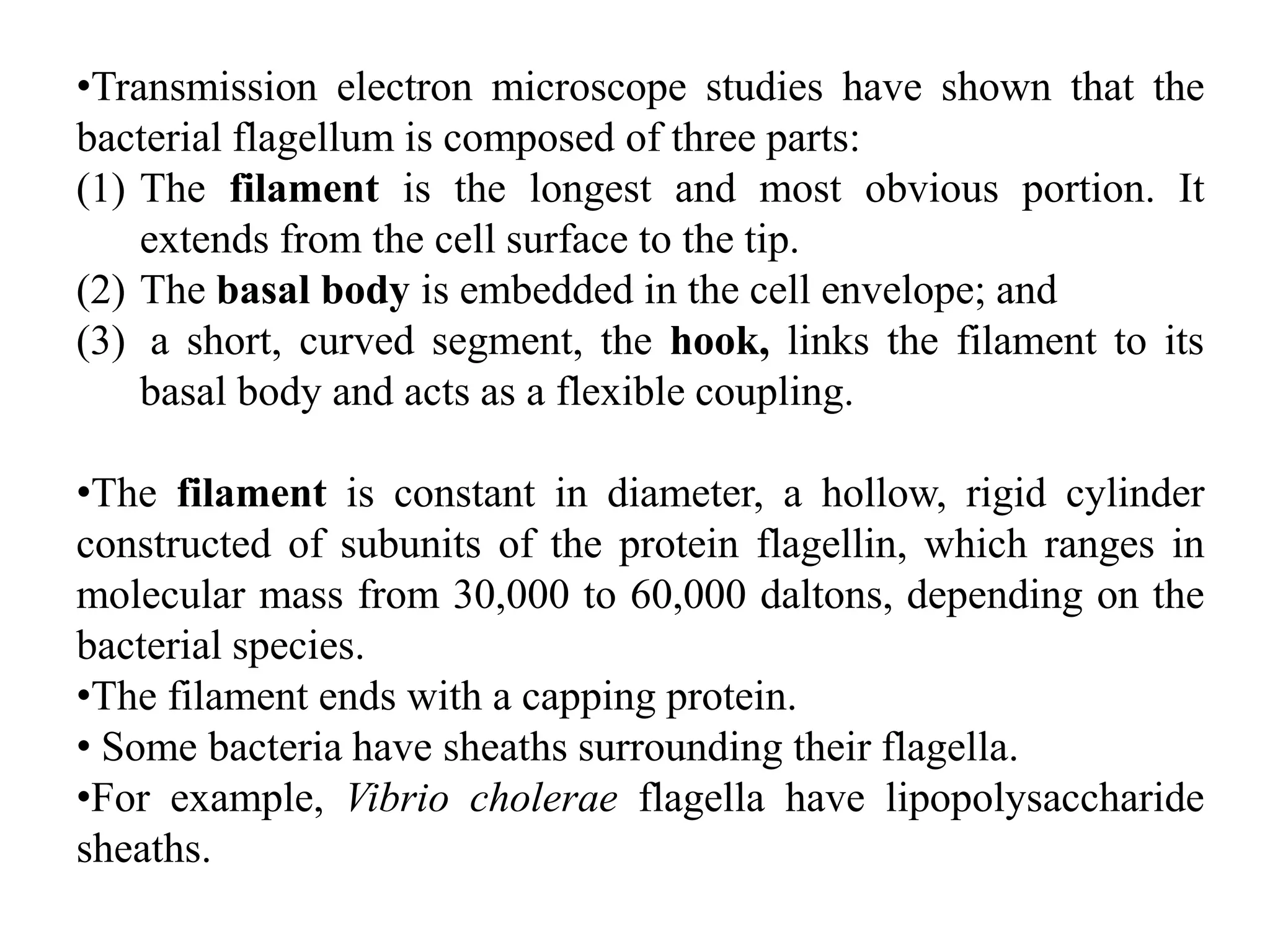 Bacterial cytology flagella, fimbriae and pilli | PPTX