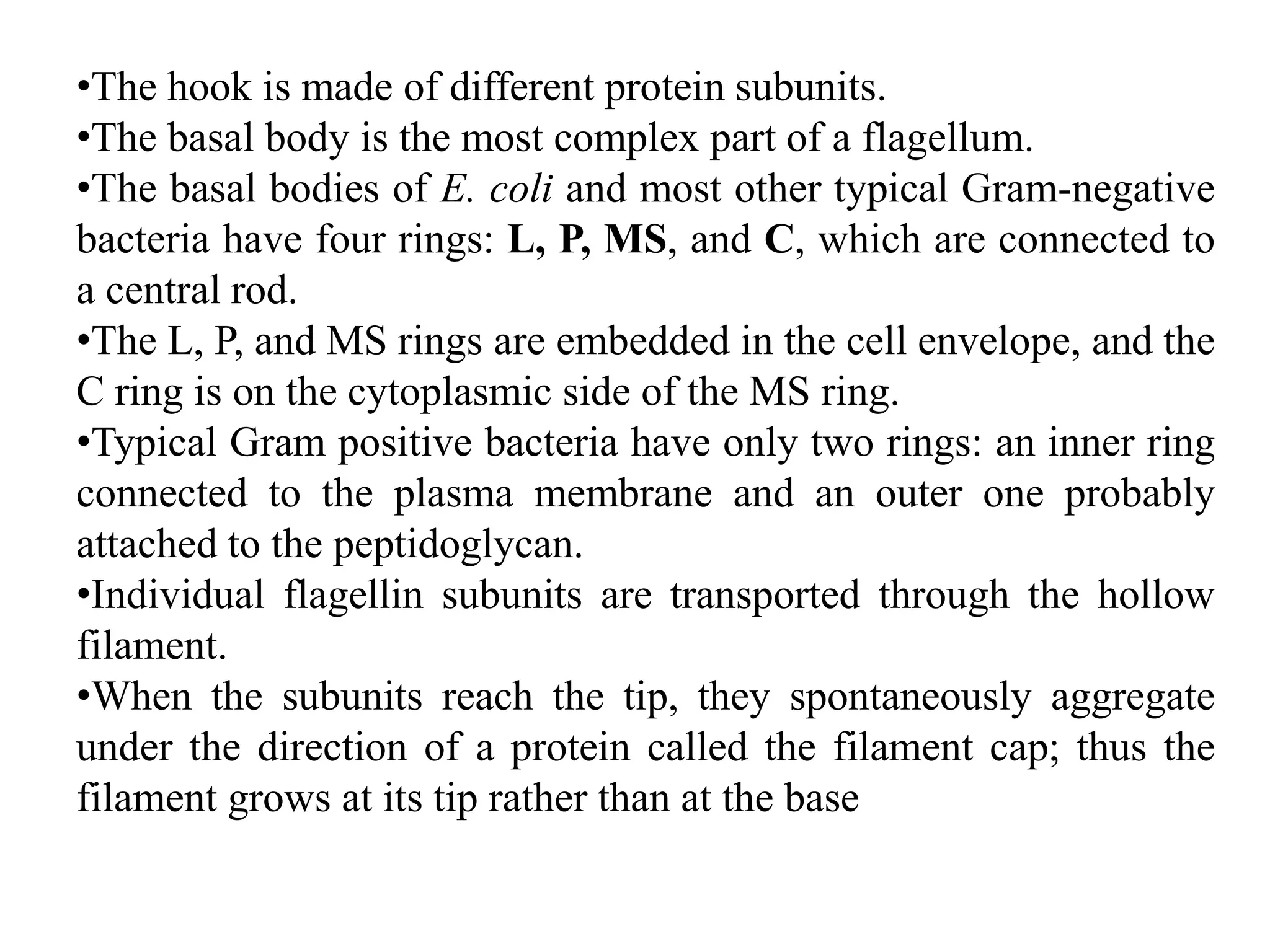 Bacterial cytology flagella, fimbriae and pilli | PPTX