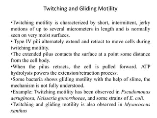 Bacterial cytology flagella, fimbriae and pilli | PPTX