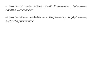 Bacterial cytology flagella, fimbriae and pilli | PPTX