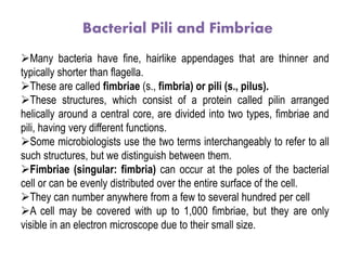 Bacterial cytology flagella, fimbriae and pilli | PPTX | Biological ...