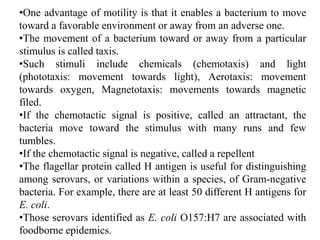 Bacterial cytology flagella, fimbriae and pilli | PPT
