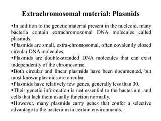 Bacterial cytology ribosomes, chromosomal and extrachromosomal material ...