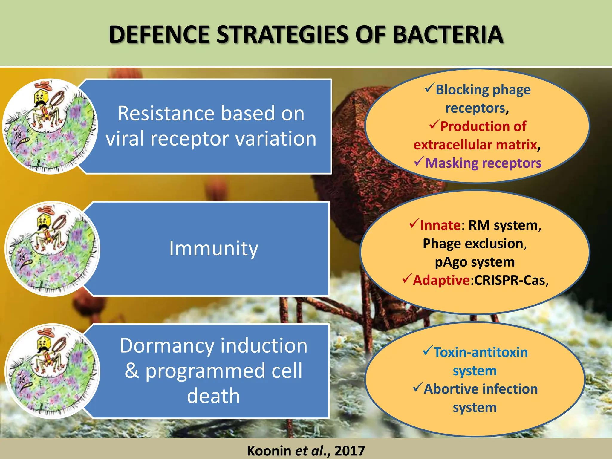 BACTERIAL DEFENSE SYSTEM by Dr. Chayanika Das | PPTX