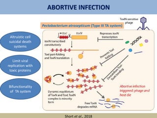 BACTERIAL DEFENSE SYSTEM by Dr. Chayanika Das | PPTX