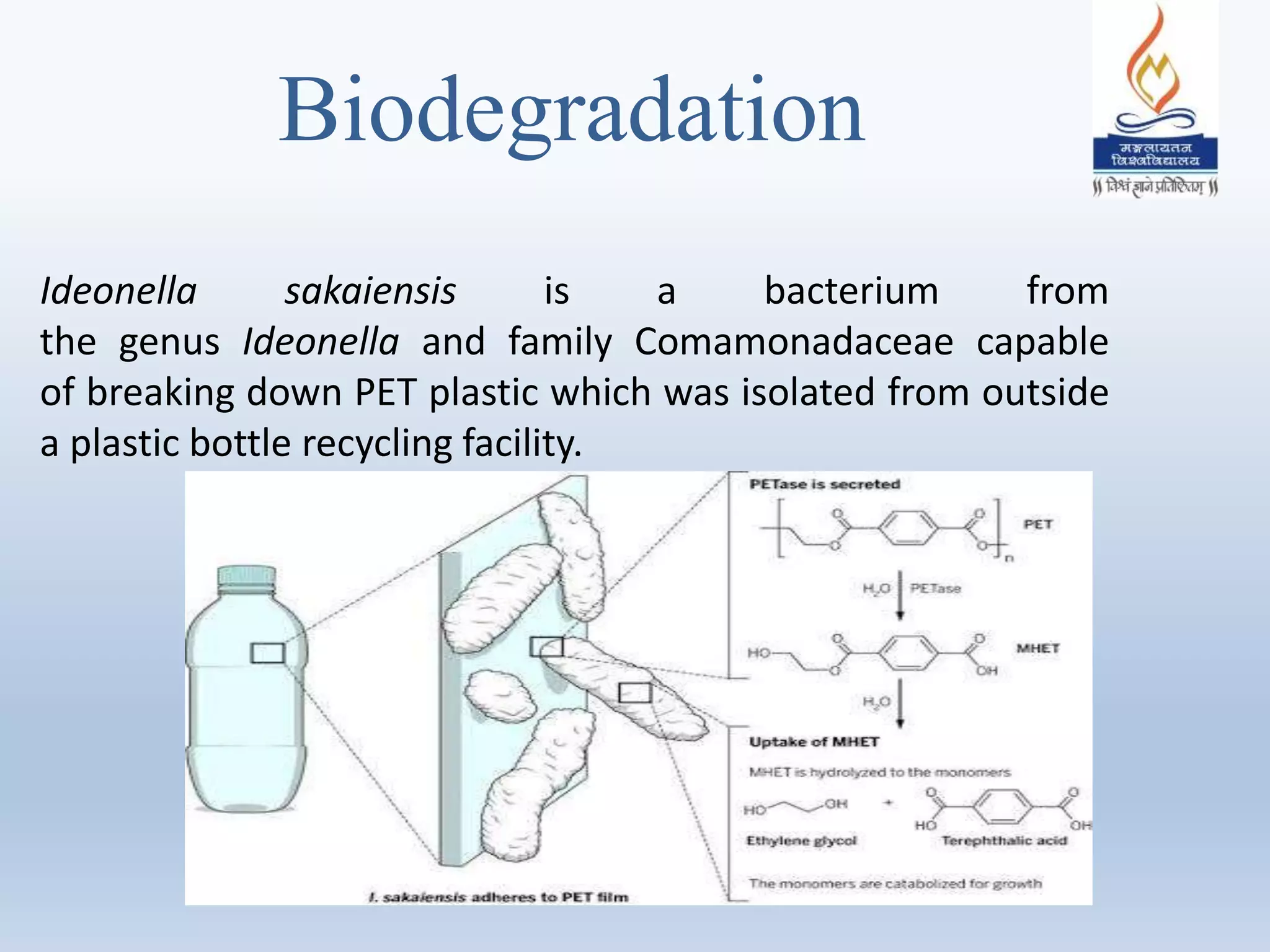Bacterial degradation of plastic | PPTX