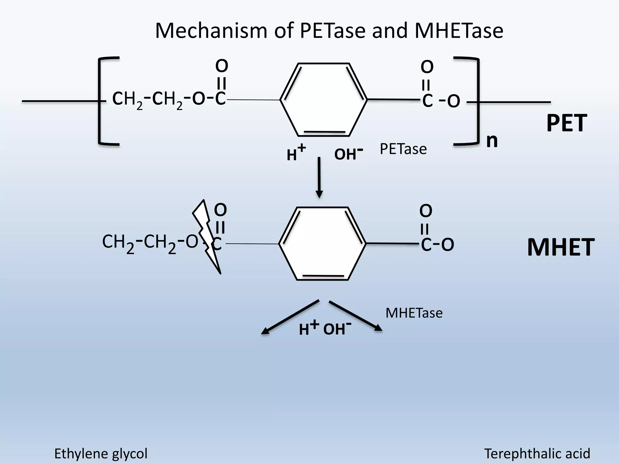 Bacterial degradation of plastic | PPTX