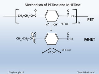 Bacterial degradation of plastic | PPTX