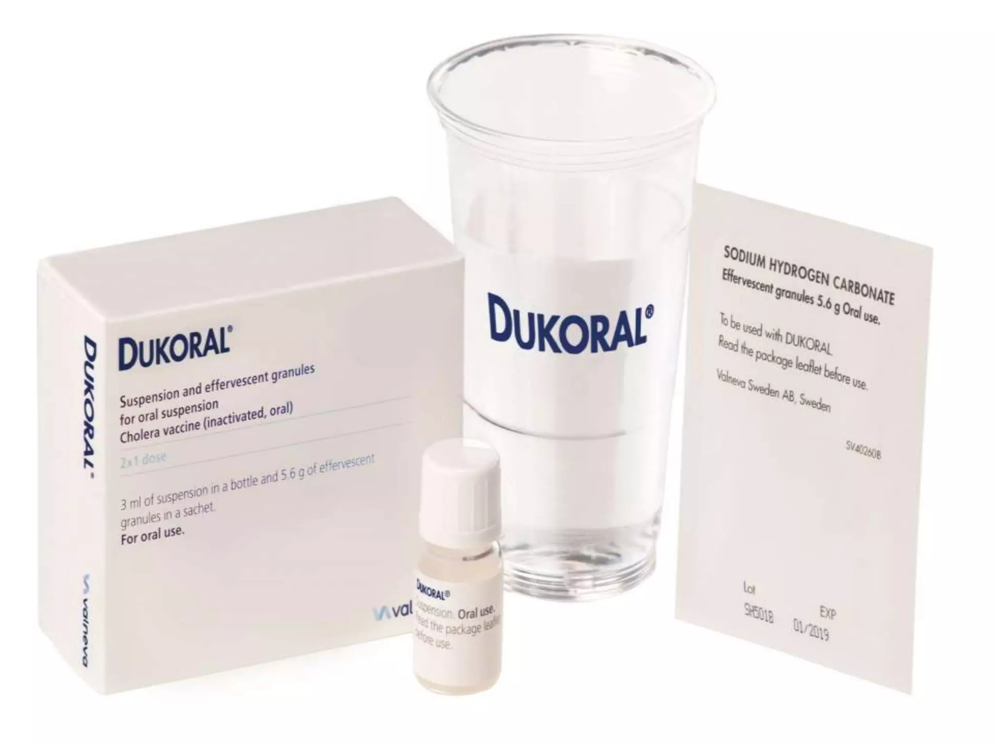 Bacterial diarrhea and dysentery | PPTX