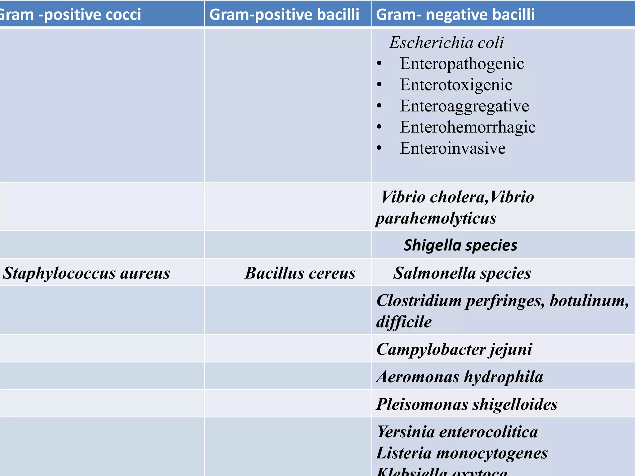 Bacterial diarrhea and dysentery | PPTX