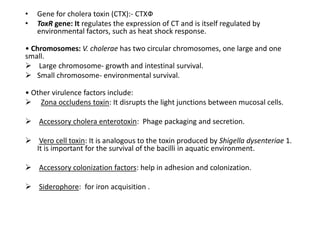 Bacterial diarrhea and dysentery | PPTX