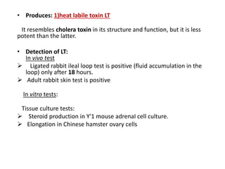 Bacterial diarrhea and dysentery | PPTX