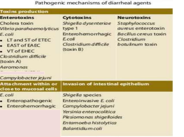 Bacterial diarrhea and dysentery | PPTX