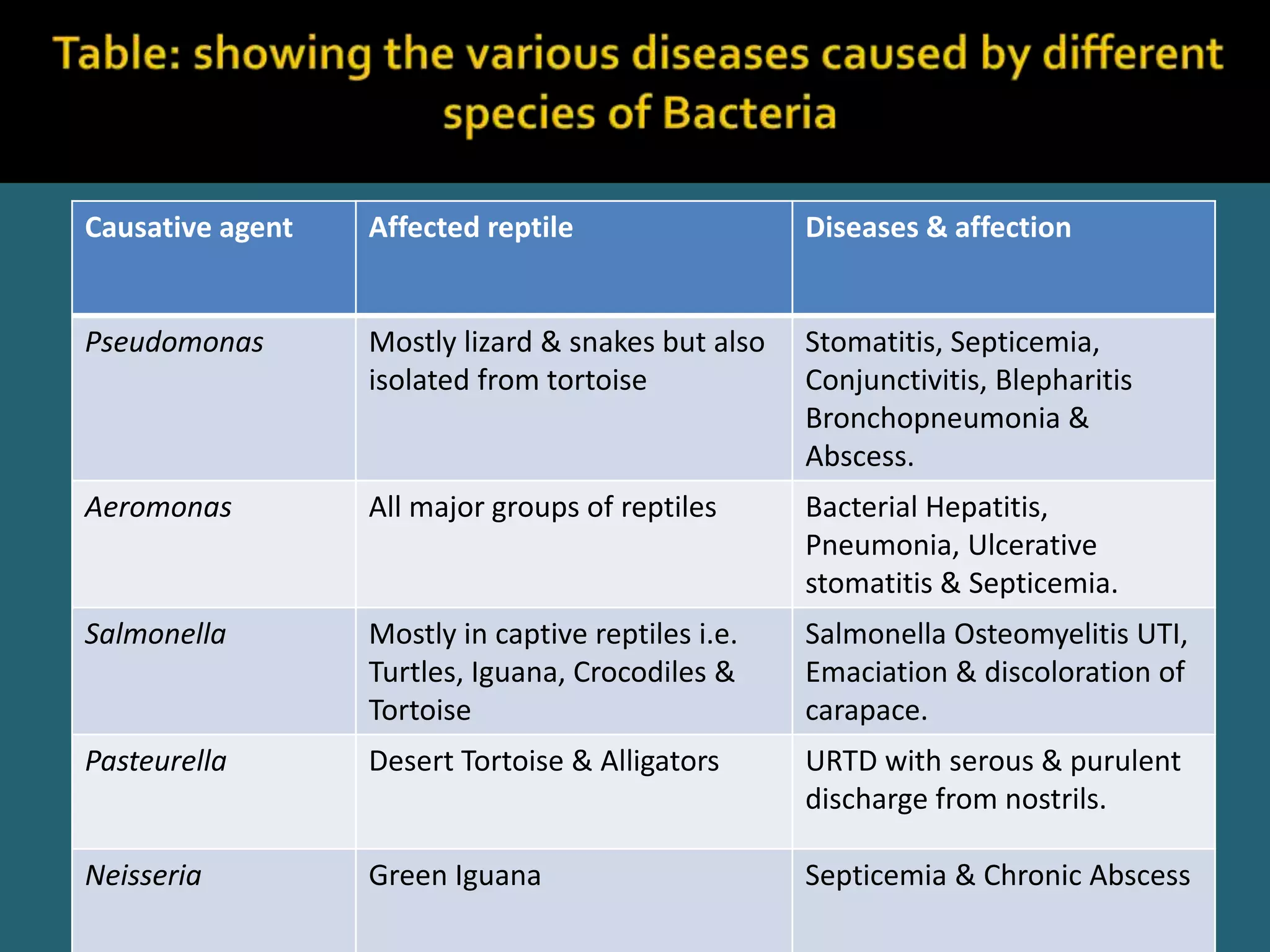 Bacterial diseaes of reptiles | PPTX