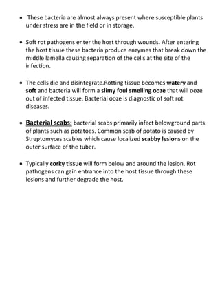 BACTERIAL DISEASE OF PLANTS | PDF