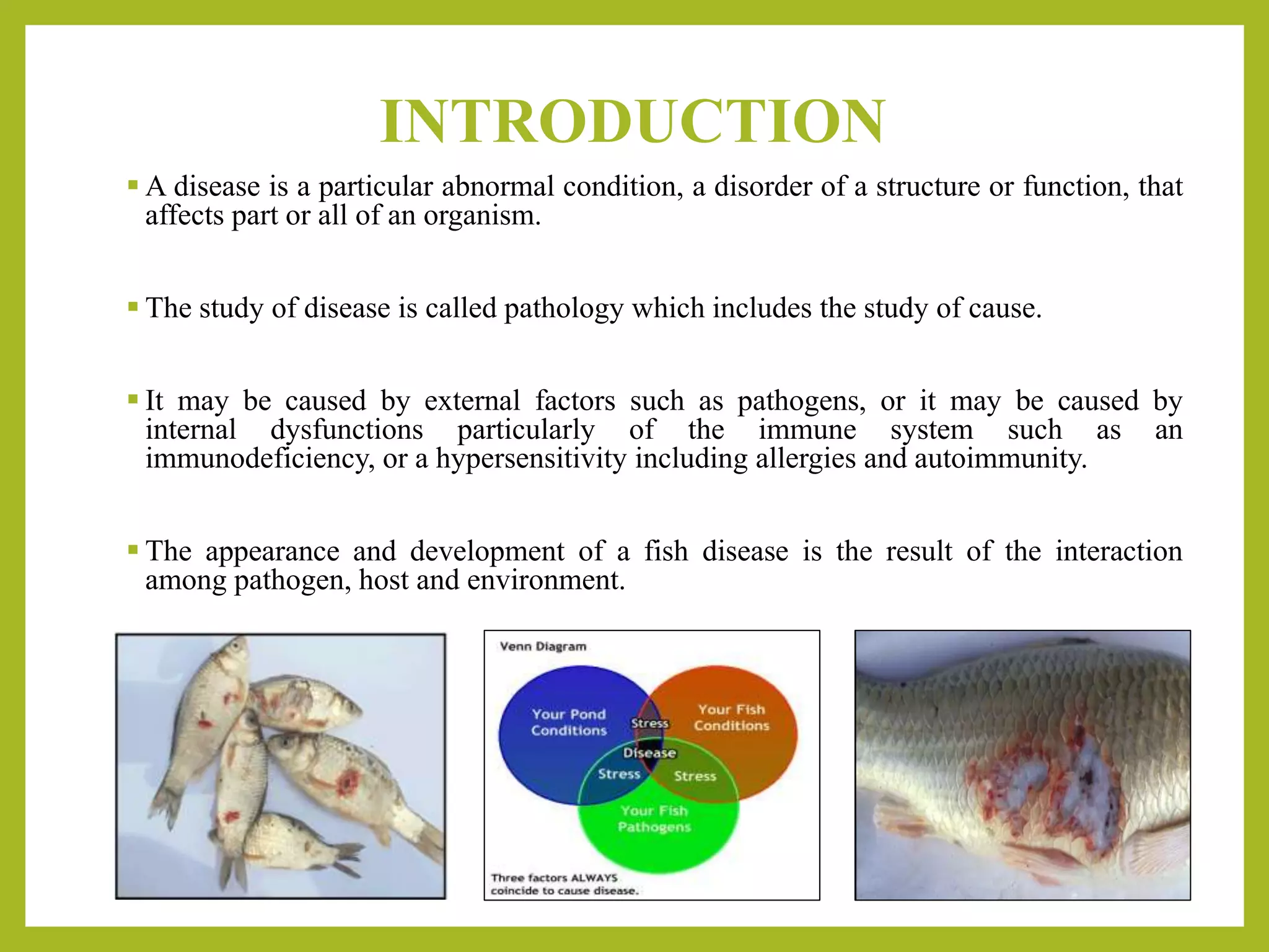 Bacterial disease in finfish and shellfish | PPTX