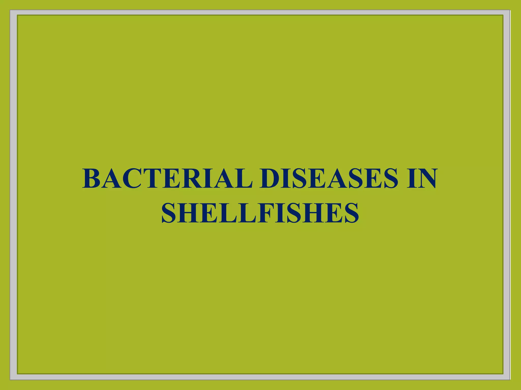 Bacterial disease in finfish and shellfish | PPTX