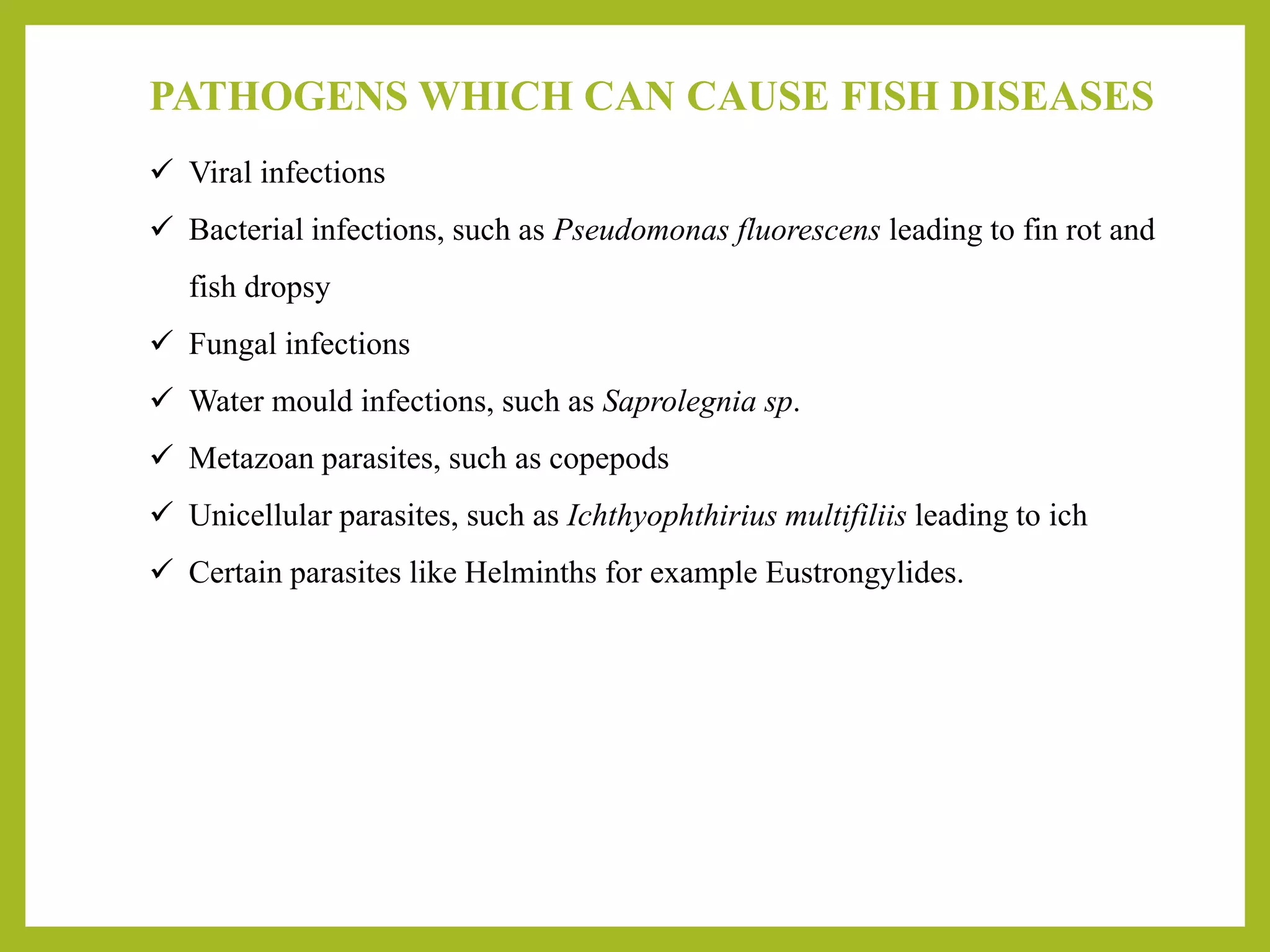 Bacterial disease in finfish and shellfish | PPTX