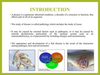 Bacterial disease in finfish and shellfish | PPTX