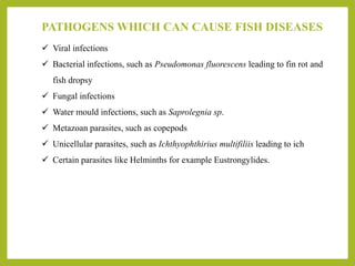 Bacterial disease in finfish and shellfish | PPTX