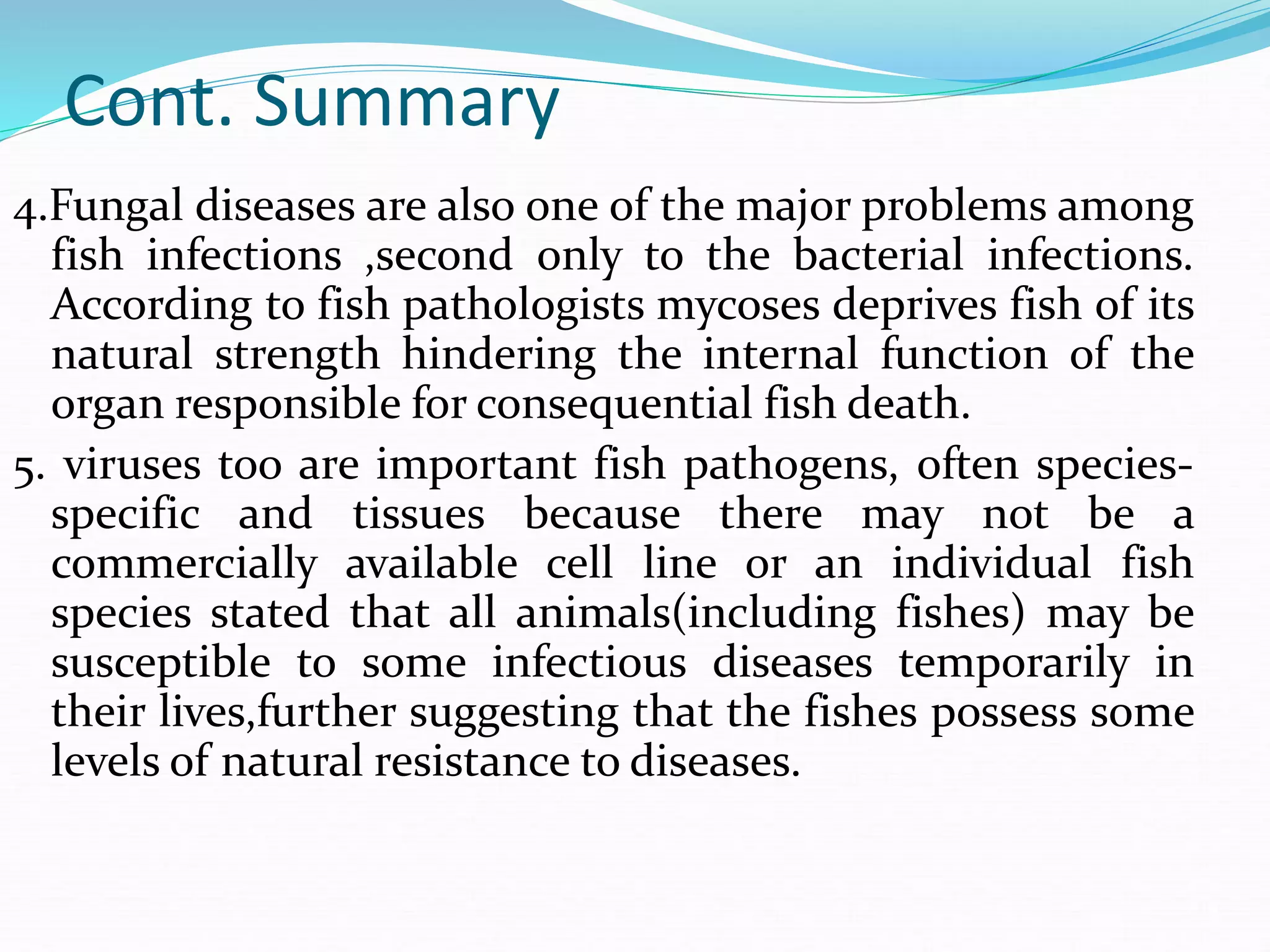 Bacterial Disease in Fish by bushra mushtaq.ppt