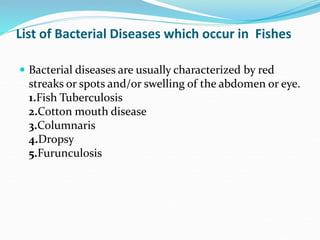 Bacterial Disease in Fish by bushra mushtaq.ppt