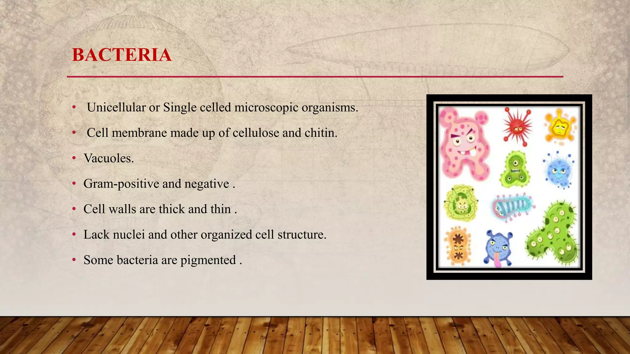 Bacterial disease in fish & shrimp | PPTX
