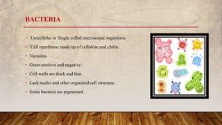 Bacterial disease in fish & shrimp | PPTX