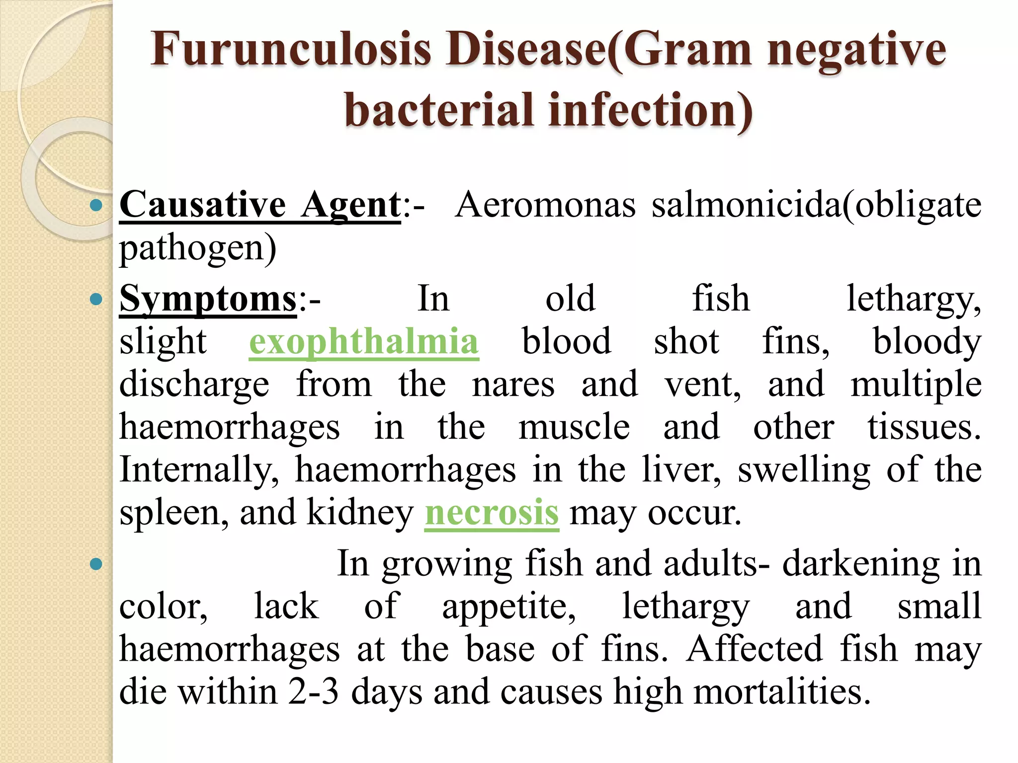 Bacterial disease of finfish and their management | PPTX
