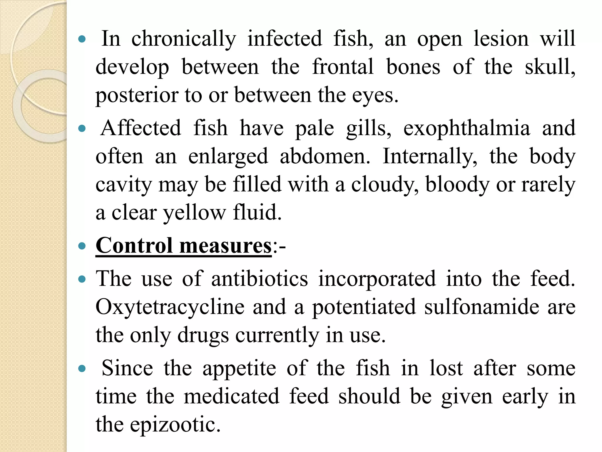 Bacterial disease of finfish and their management | PPTX
