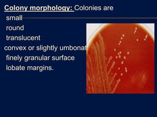Bacterial diseases | PPTX