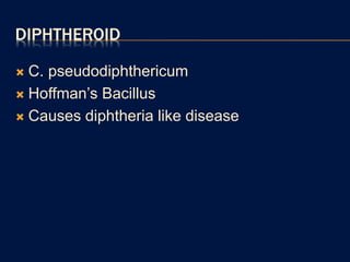 Bacterial diseases | PPTX