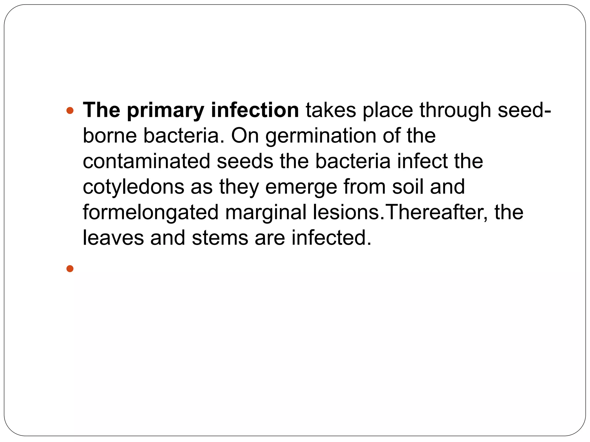 Phytopathology: Bacterial diseases | PPTX