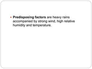 Phytopathology: Bacterial diseases | PPTX