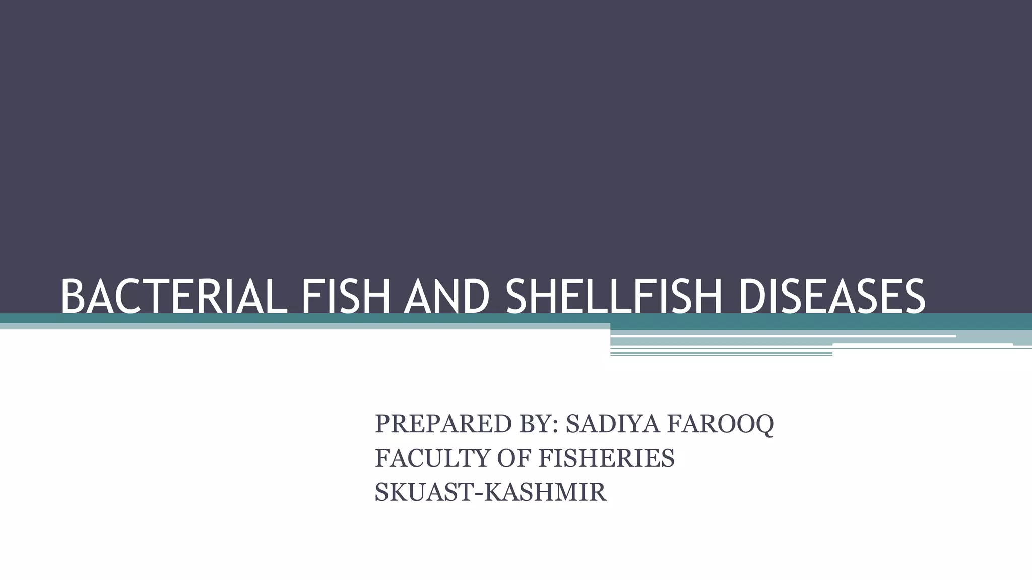 Bacterial diseases affecting finfish and shellfish. | PPTX