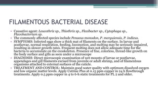 Bacterial diseases affecting finfish and shellfish. | PPTX