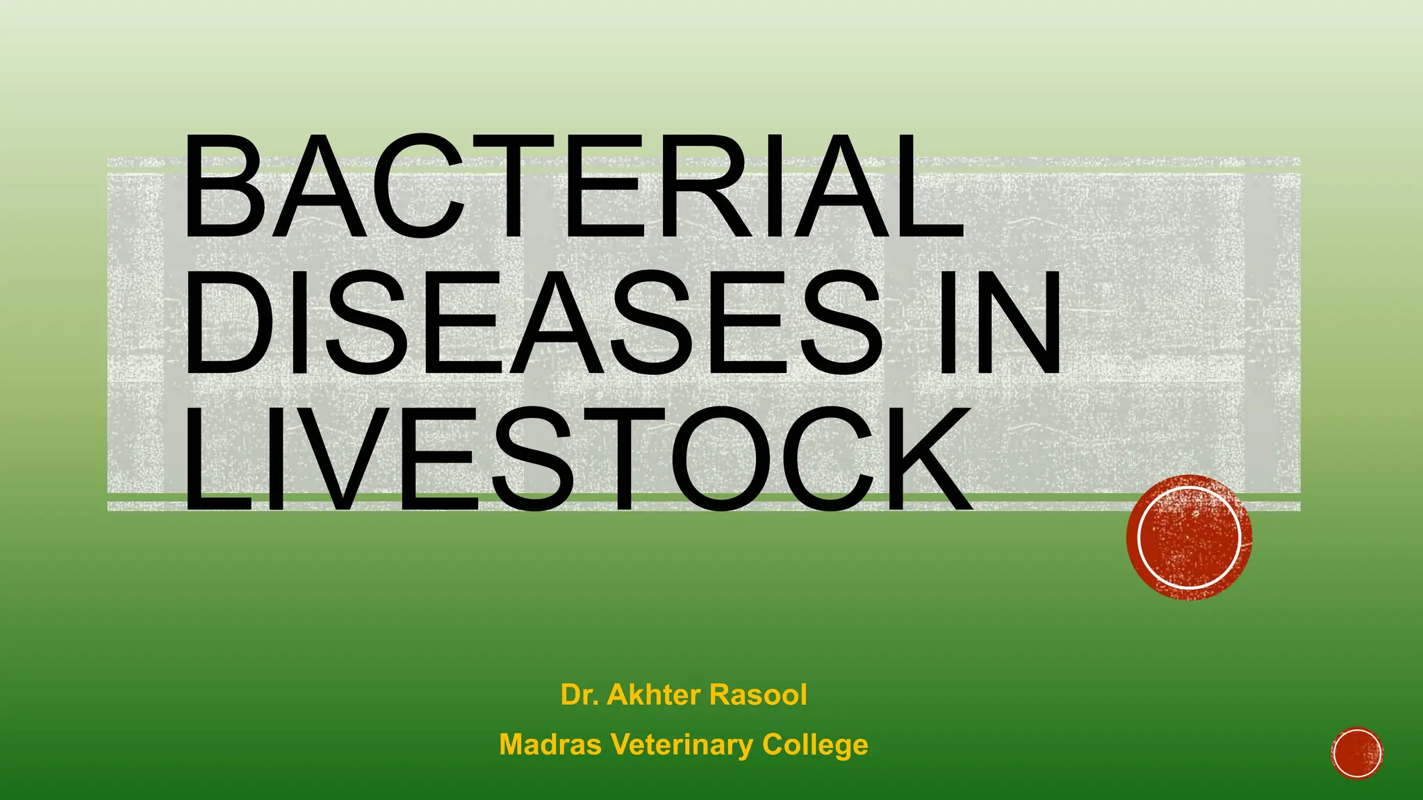 Major Bacterial Diseases affecting livestock .pptx